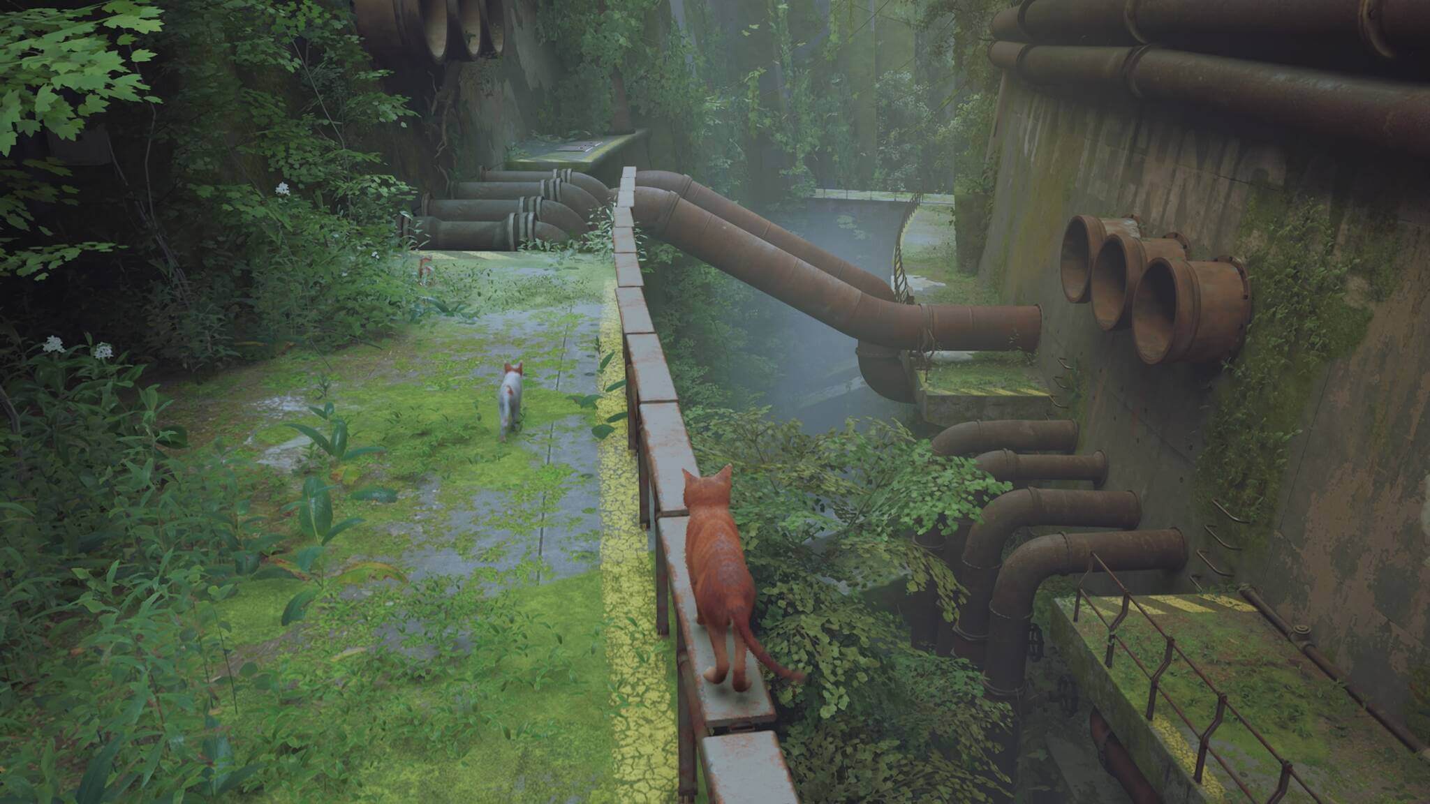 Stray » Игры для Cobra ODE, E3 ODE, 3K3Y, PS1, PS2, PS3, PS4, PS5, PSP ...