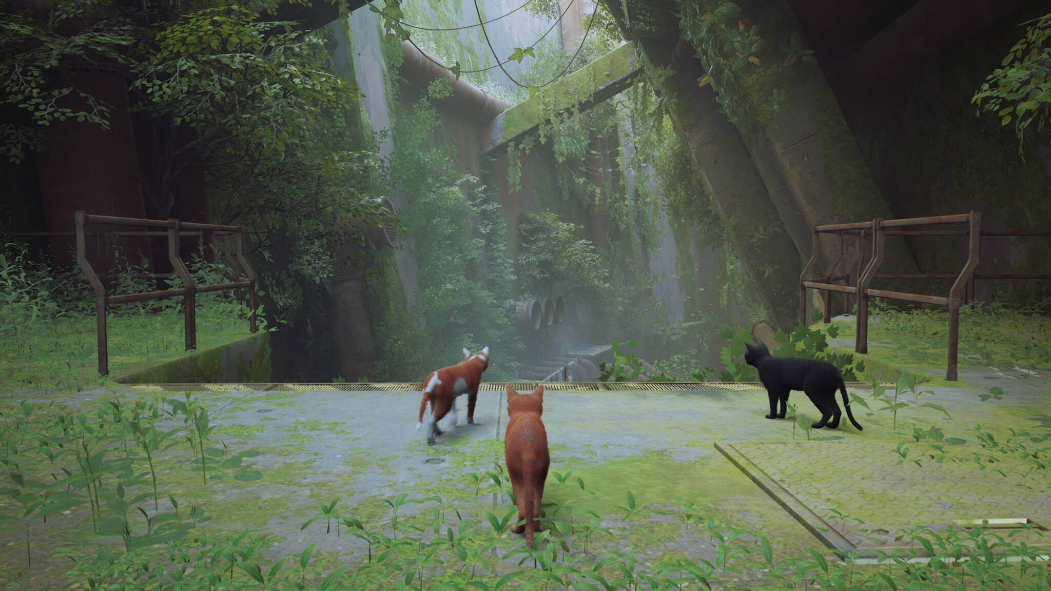 Stray » Игры для Cobra ODE, E3 ODE, 3K3Y, PS1, PS2, PS3, PS4, PS5, PSP ...